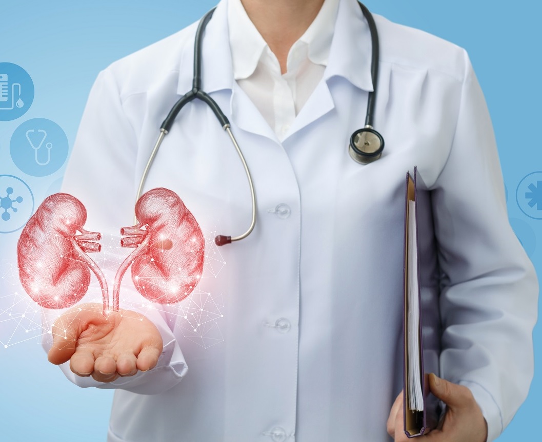 Immuno Assays im urologie